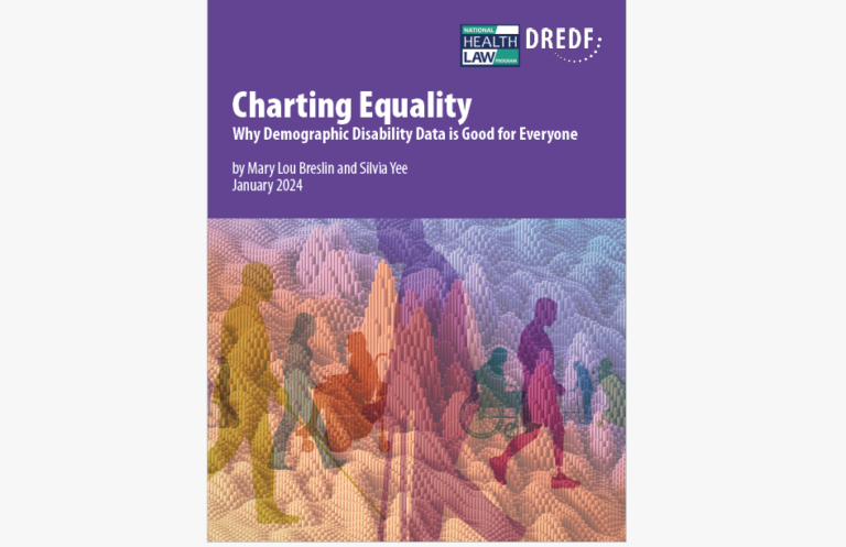 Charting Equality: Why Demographic Disability Data is Good for Everyone ...